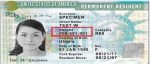 What is an Alien Registration Number and How to Find It? - Imagility