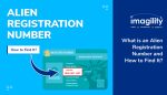 What is an Alien Registration Number and How to Find It? - Imagility